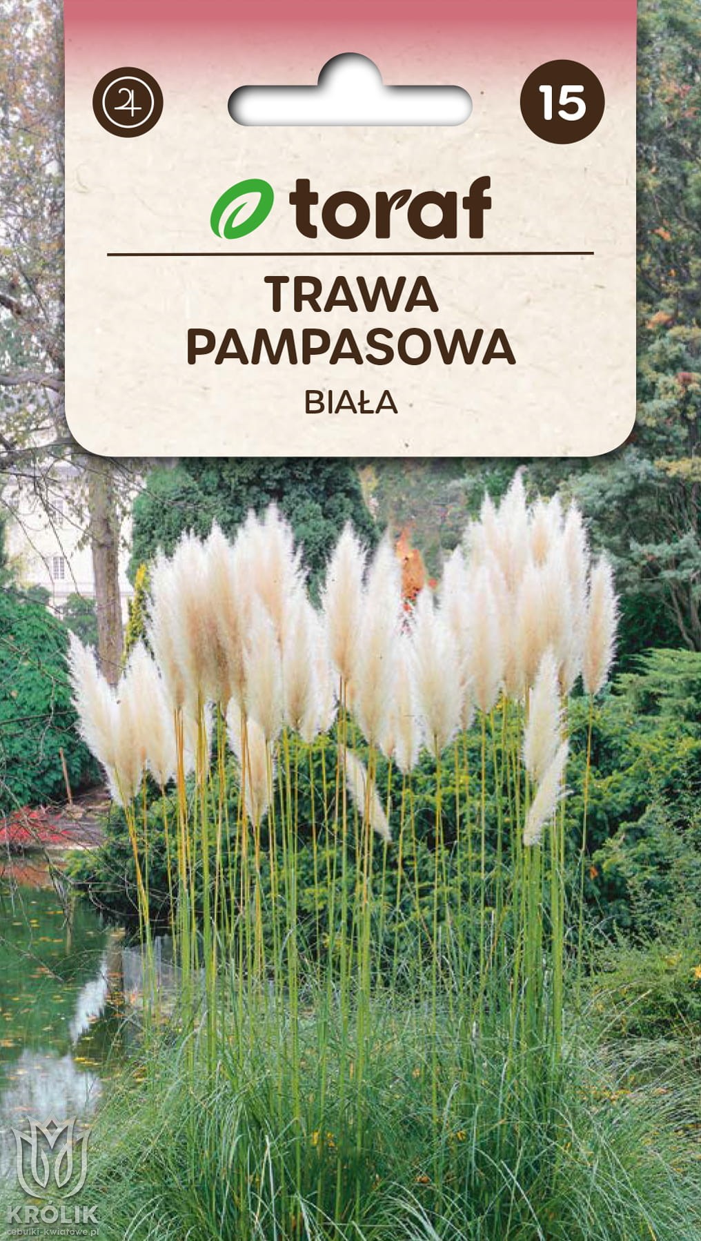 Trawa pampasowa biała 0,1g / T / NAS1053 - Nasiona kwiatów - sklep ...
